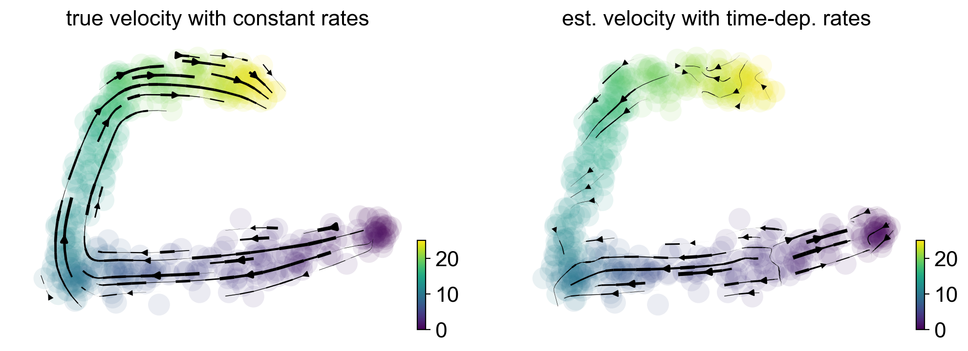 RNA velocity: Current challenges and future perspectives — scVelo ...
